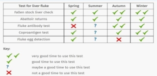 SCOPS & COWS PRESS RELEASE: Testing this winter is the key to liver ...