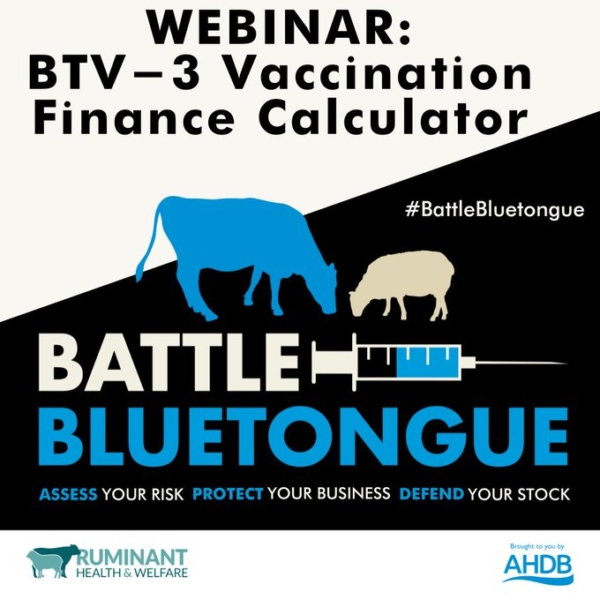 Webinar: Bluetongue virus – calculating the cost of vaccination - Sheep ...